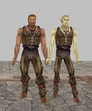 Character Height - Avlis Wiki